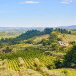 Private Tuscany Tour from Florence Including Siena, San Gimignano and Chianti Wine Region - An In-Depth Look at the Tour Experience