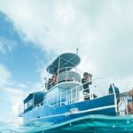 Private Underwater Excursion in the Bora Bora Lagoon - What the Tour Offers and Why It Matters