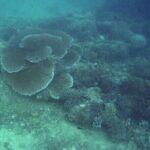 Private Undiscovered 3 Gili Islands Tour - Practical Details and Tips