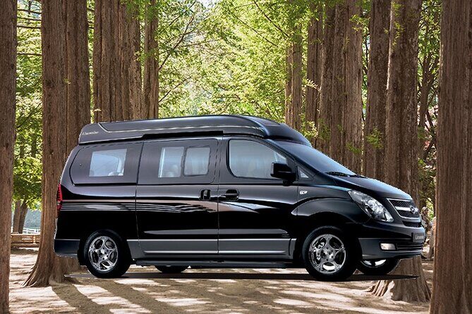 Private Van Nami Island, Petite France, Rail Bike (Up to 14 pax) - Who Will Love This Tour?