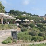 Private Waiheke Food & Wine Tour - A Closer Look at the Itinerary