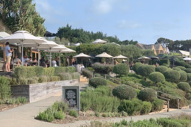Private Waiheke Food & Wine Tour - A Closer Look at the Itinerary
