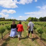 Private Wairarapa Wine Delights Tour from Wellington - Whats Included and Why It Matters
