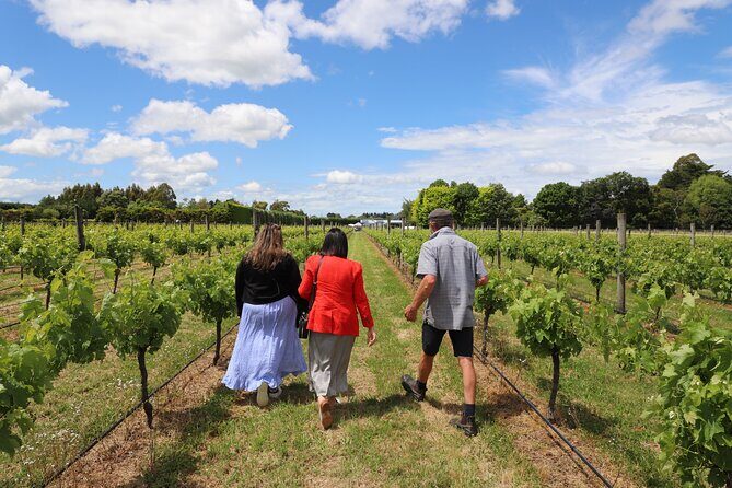 Private Wairarapa Wine Delights Tour from Wellington - Whats Included and Why It Matters