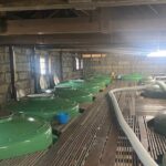 Private Walking and Wine Tasting Sake Brewery Tour in Ibaraki - Who Will Love This Tour?