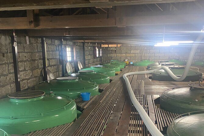 Private Walking and Wine Tasting Sake Brewery Tour in Ibaraki - Who Will Love This Tour?