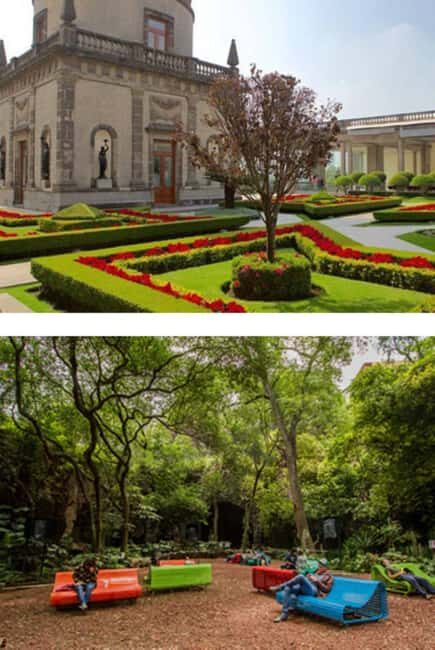 Private walking tour Gems of Historic Center of Mexico City - Practical Details and What to Expect