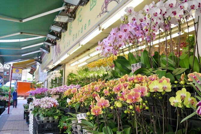 Private Walking Tour: Hong Kong Local Markets Hopper - A Detailed Look at the Market-Hopping Experience