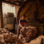 Private Walking Tour in Dharavi Slums - What the Reviews Say: Authentic, Enlightening, and Respectful