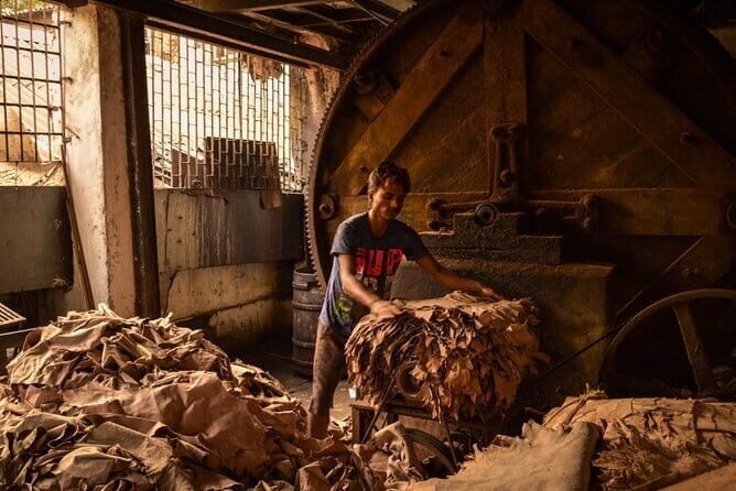 Private Walking Tour in Dharavi Slums - What the Reviews Say: Authentic, Enlightening, and Respectful