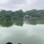 Private Walking Tour in Fukagawa, Tokyo - What Travelers Are Saying