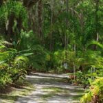 Private Walking Tour to St. John's Botanical Garden - What You Can Expect from This Experience