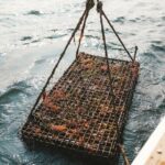Private West Passage Oyster Tasting Aquaculture Tour - Who Will Love This Experience?