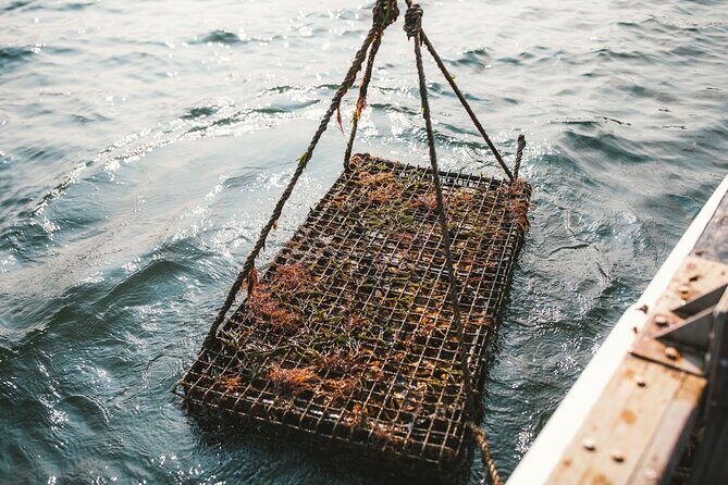 Private West Passage Oyster Tasting Aquaculture Tour - Who Will Love This Experience?