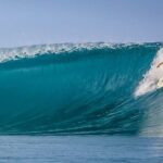 Private Whale Outing on the Tahiti Peninsula - How the Itinerary Unfolds
