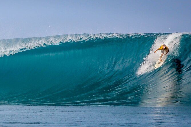 Private Whale Outing on the Tahiti Peninsula - How the Itinerary Unfolds