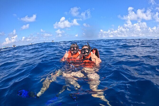 Private Whale Watching Tours in Isla Mujeres - FAQ