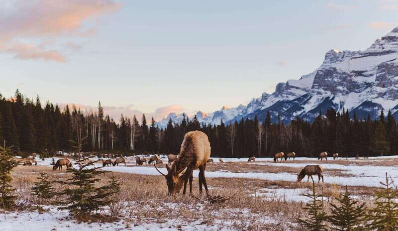 PRIVATE Wilderness and Wildlife Walking Tour - 2.5H - Practical Considerations for Travelers