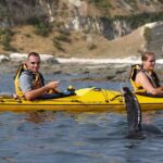 Private Wildlife Kayaking Tour - Kaikoura - How the Tour’s Cost Reflects Its Value