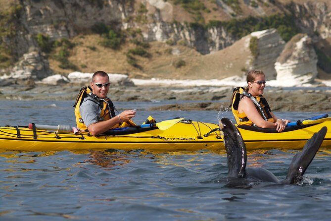 Private Wildlife Kayaking Tour - Kaikoura - How the Tour’s Cost Reflects Its Value