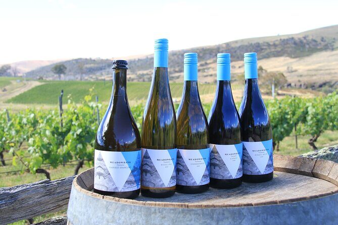 Private Wine and Beverage Tours in Tasmania - The Transport and Flexibility