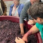 Private Wine Tasting Experience - Authenticity and Local Knowledge