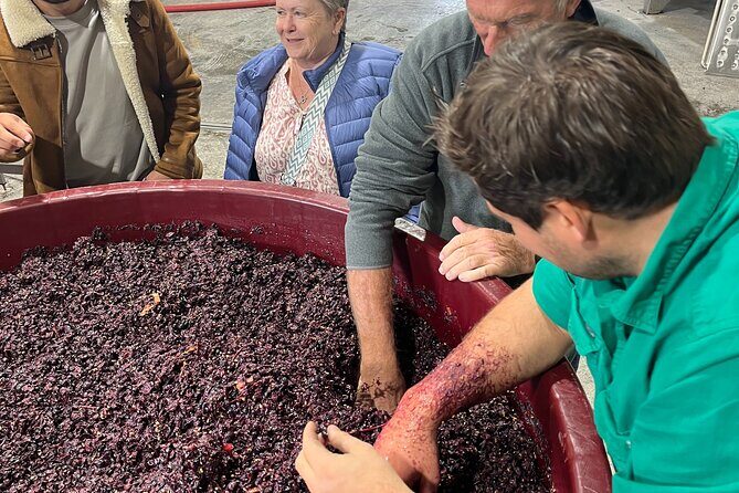 Private Wine Tasting Experience - Authenticity and Local Knowledge