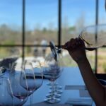 Private Wine Tasting Tour from Santa Barbara - The Sum Up