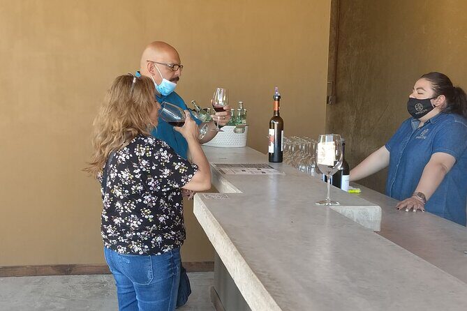Private wine tour - An In-Depth Look at the Valle de Guadalupe Private Wine Tour