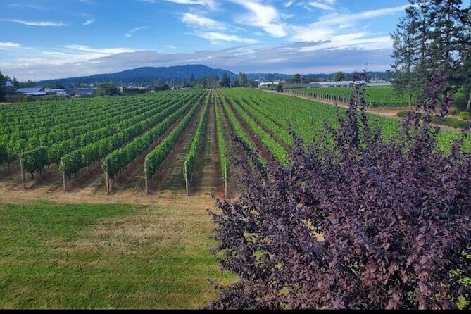 Private Wine Tour at Church and State Wines in Victoria BC Canada - The Experience from Travelers’ Perspectives