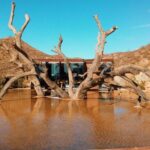 Private Wine Tour at Valle de Guadalupe (A wine tasting included). - FAQs