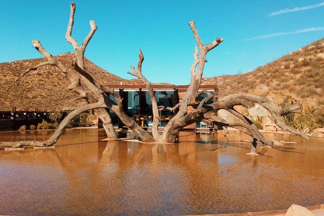 Private Wine Tour at Valle de Guadalupe (A wine tasting included). - FAQs