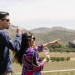 Private Wine Tour by Ansell Tours - The Itinerary in Detail