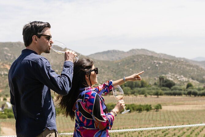 Private Wine Tour by Ansell Tours - The Itinerary in Detail