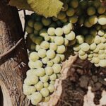 Private Wine Tour for 1-5 People in Oregon - Who Is This Tour Best For?