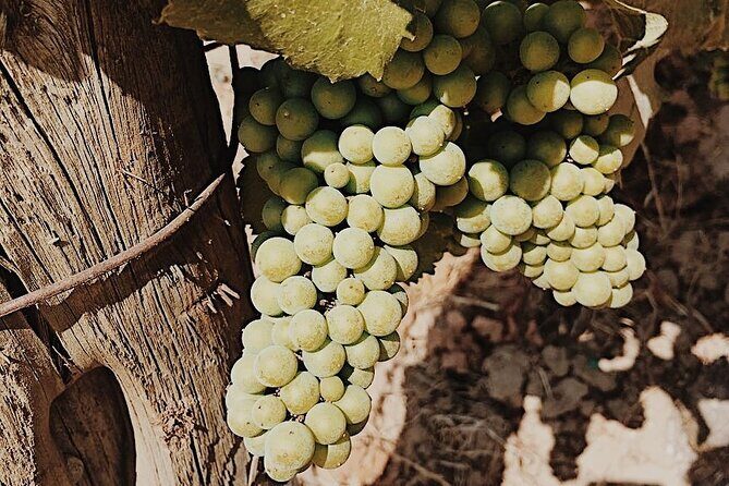 Private Wine Tour for 1-5 People in Oregon - Who Is This Tour Best For?