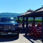 Private Wine Tour Napa or Sonoma 6 hours up to 6 people - An In-Depth Look at the Napa or Sonoma Private Wine Tour