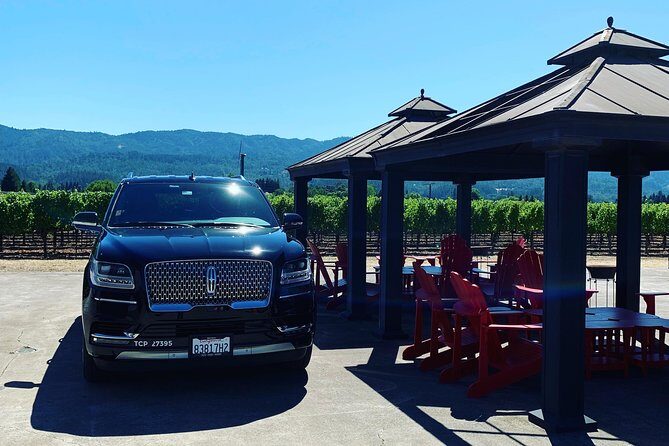 Private Wine Tour Napa or Sonoma 6 hours up to 6 people - An In-Depth Look at the Napa or Sonoma Private Wine Tour