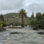 Private Wine Tour of Napa and Sonoma - What You Can Expect from the Experience