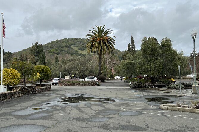 Private Wine Tour of Napa and Sonoma - What You Can Expect from the Experience