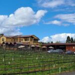 Private Wine Tours - The Value for Money