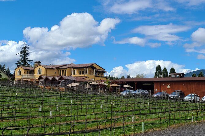 Private Wine Tours - The Value for Money