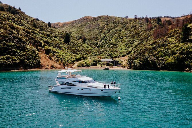 Private Yacht Cruise in the Marlborough Sounds New Zealand - Who Should Consider This Tour?