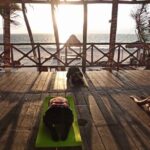 Private Yoga Classe for 1 or 2 people - Puerto Morelos - Authentic Feedback from Participants