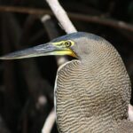 Private Yucatan Discovery Tour - Practical Details and Logistics