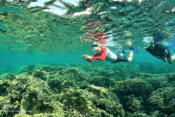 PRO-SNORKELING to Explore Hidden Coral Reefs (MAX 12 PAX) - In-Depth Tour Breakdown