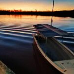 Proboscis Monkey and Fireflies River Cruise - The Pros and Cons