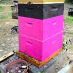 Promise Land Bee Farm Private Tour in Charleston - Who Should Consider This Tour?