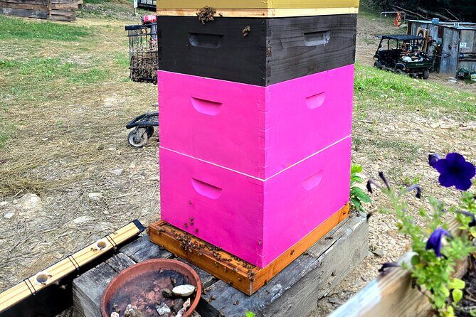 Promise Land Bee Farm Private Tour in Charleston - Who Should Consider This Tour?