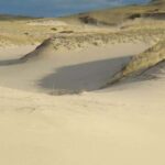 Provincetown: Cape Cod National Seashore Park Dune Tour - The Experience from the Guides’ Perspective